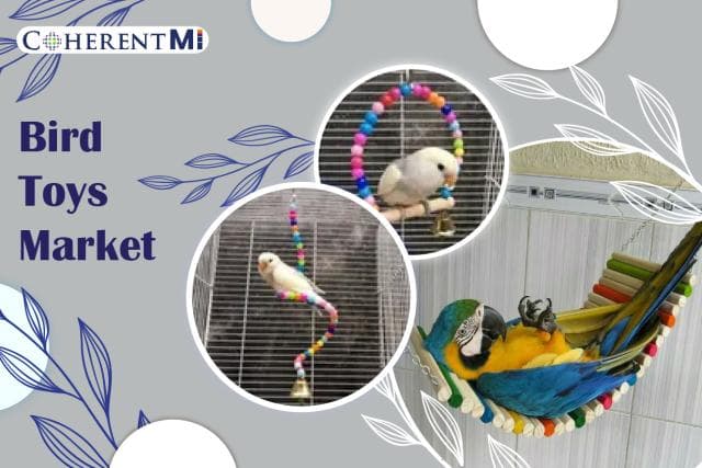 Choosing the Best Bird Toys for Your Feathered Friends
