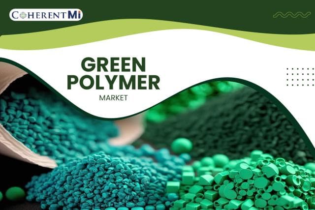 Green Polymers: The Future of Sustainable Materials