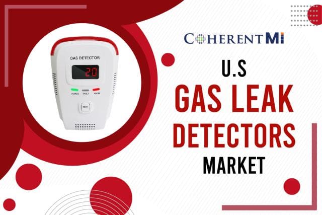 Common Types and Features of Gas Leak Detectors Used in US