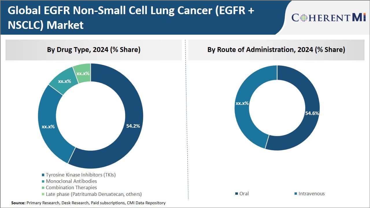 EGFR Non-Small Cell Lung Cancer Market Size, Share 2025-2032